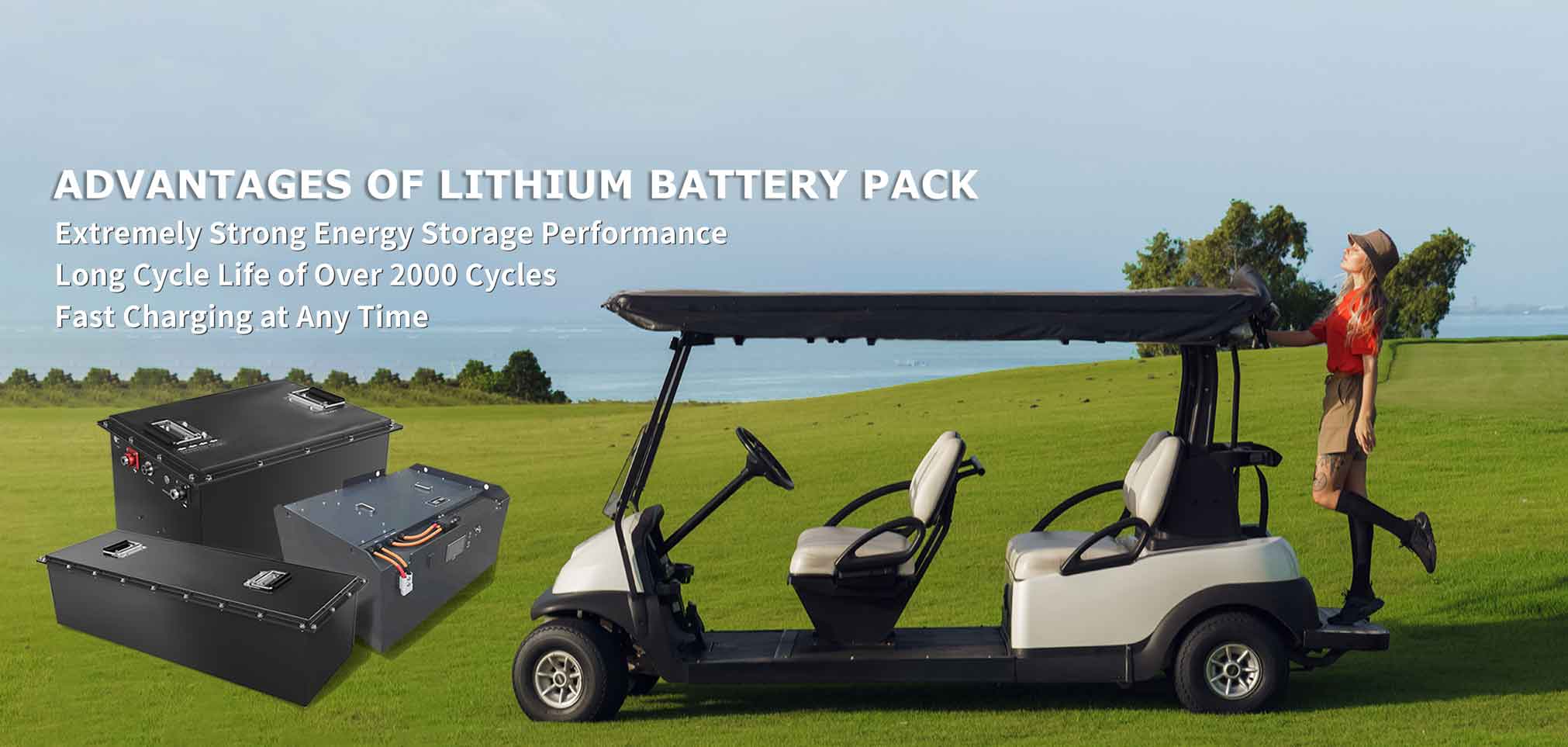 Lithium Battery Manufacturer, Lithium Ion Battery Supplier, LiFePO4 ...